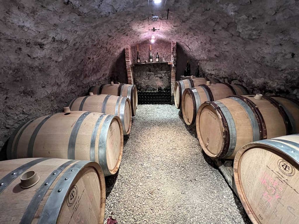 Visite en privé des vignobles historiques de la Champagne