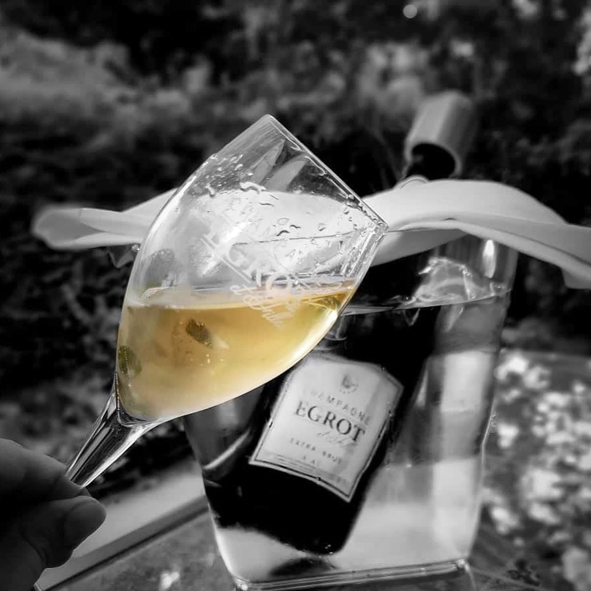 Discover Champagne region from Paris, Reims and Epernay