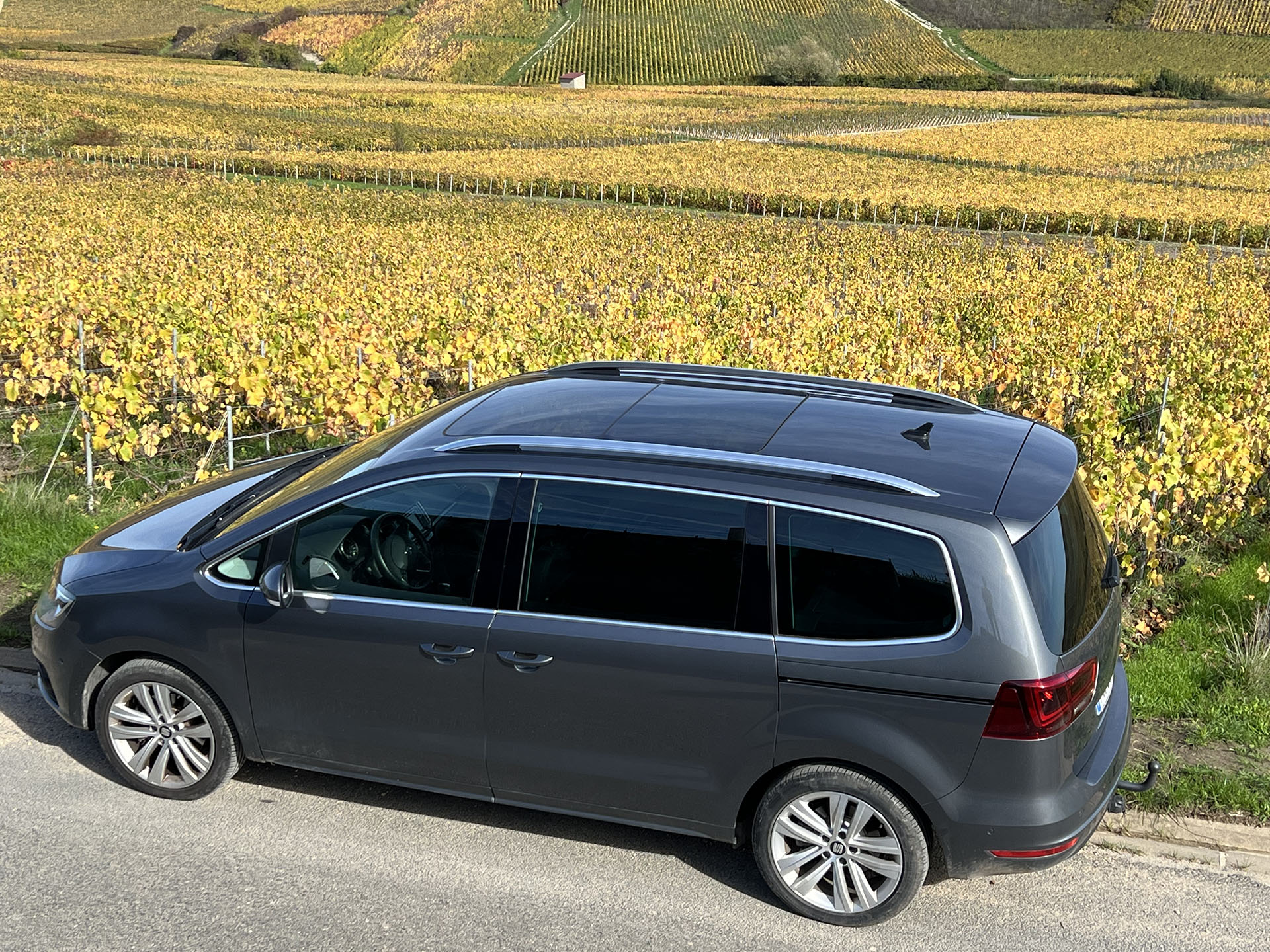 Our guides tours, specialits in the champagne region